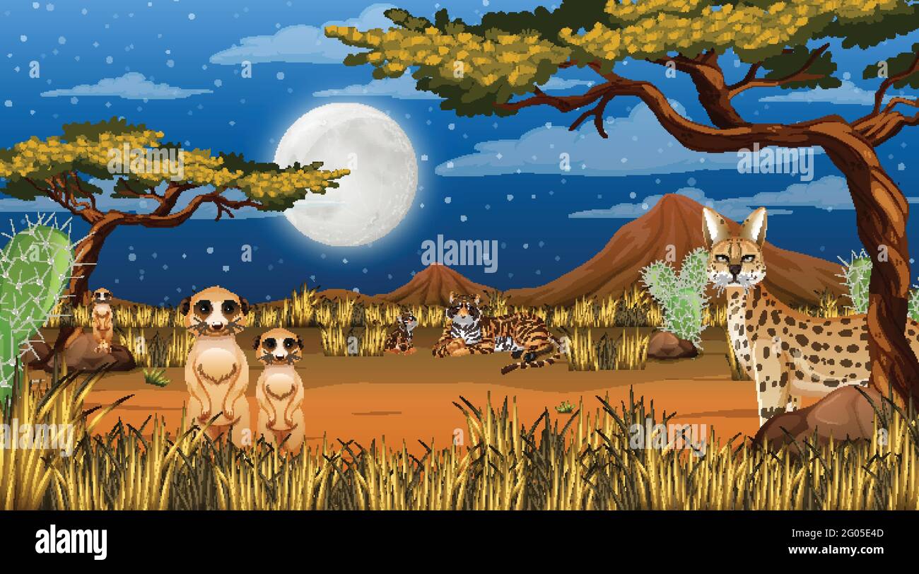 Live wild tiger Stock Vector Images - Alamy