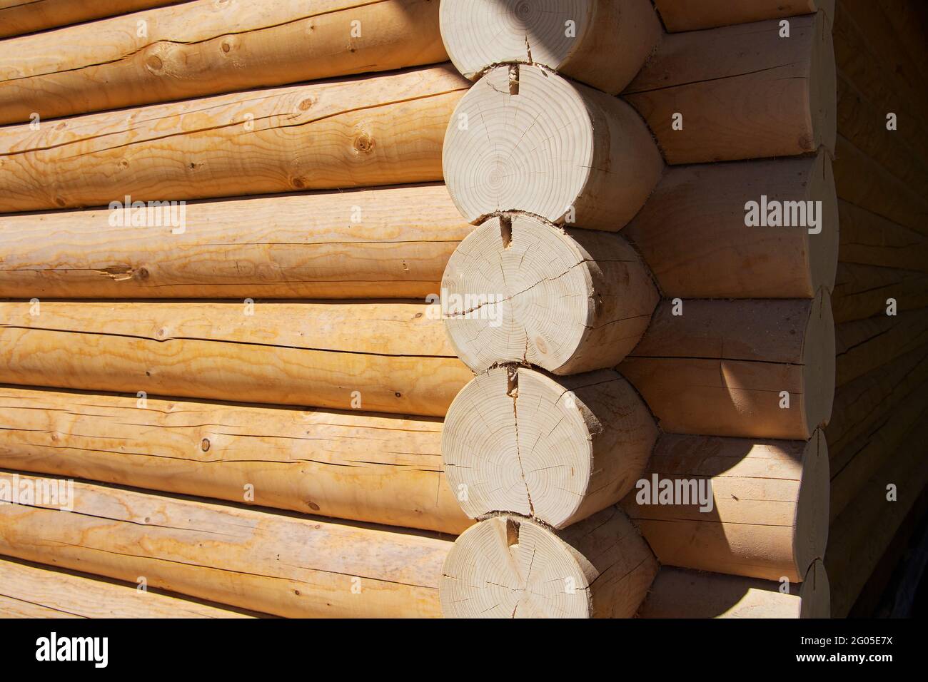 the house is built of round logs. Close-up of the corner of the house ...