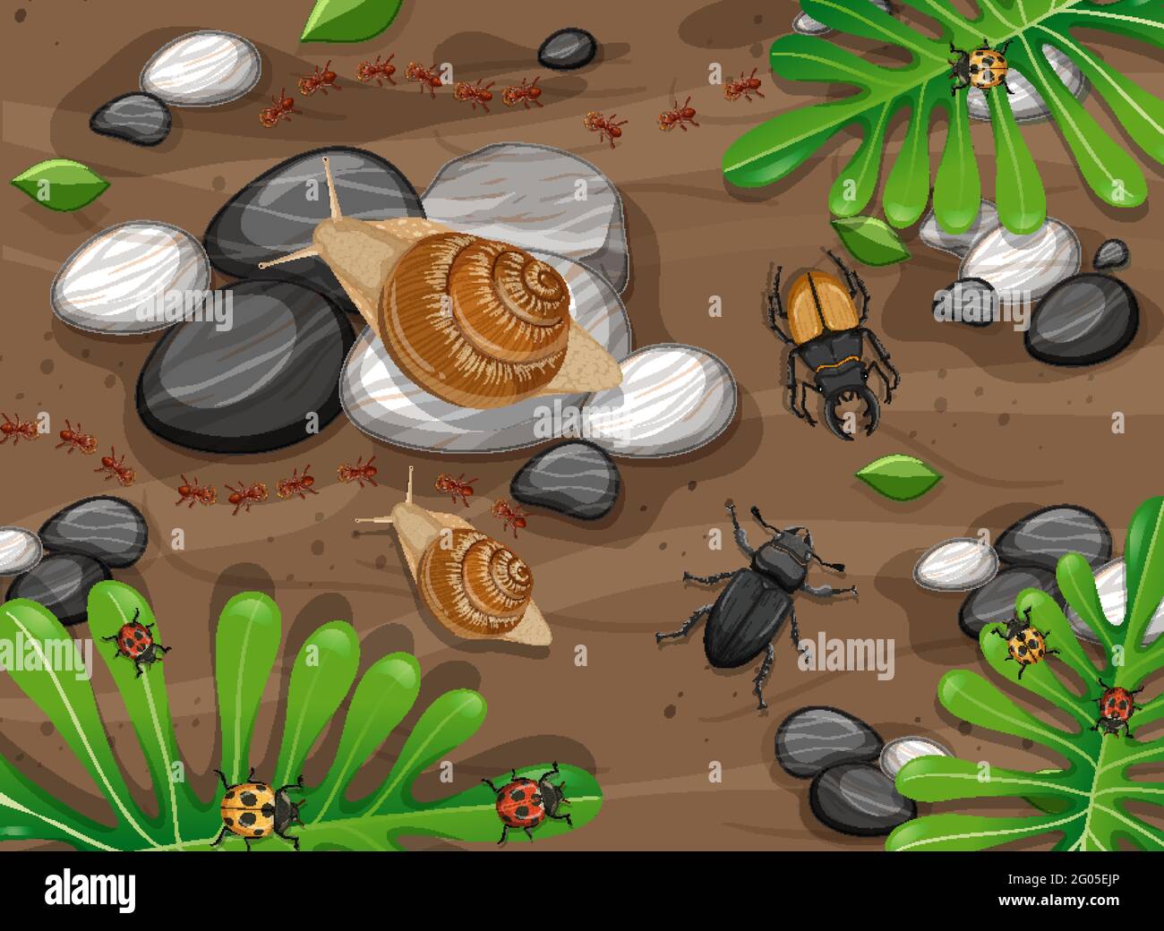 Top view of different types of insect in the garden illustration Stock ...