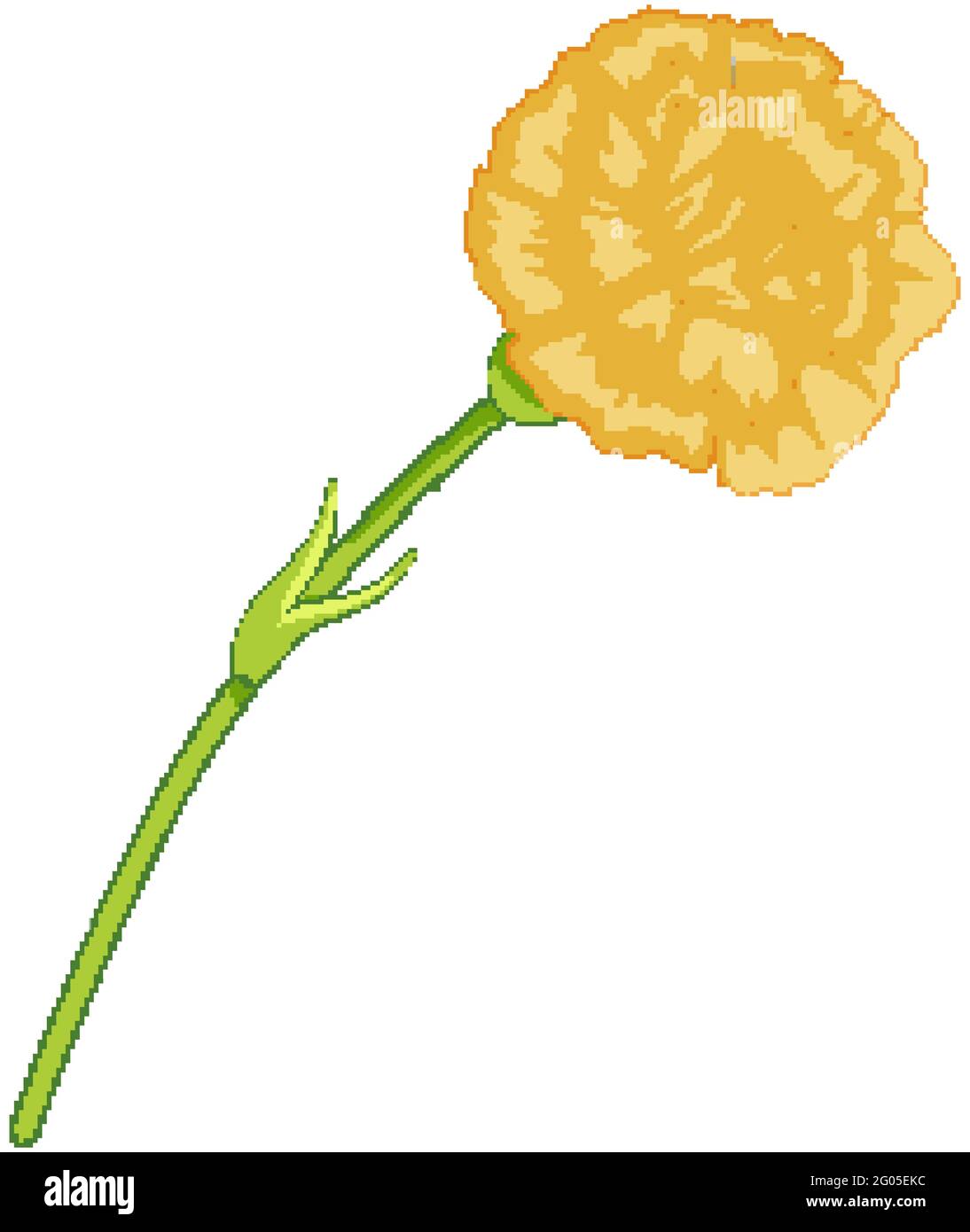 Yellow carnation flower in cartoon style isolated illustration Stock ...