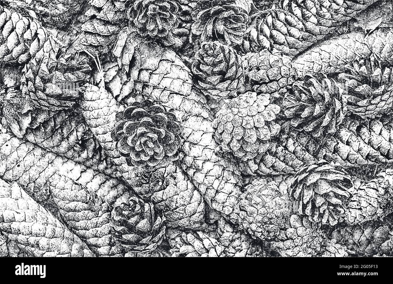 Old distressed wooden park Stock Vector Images - Alamy