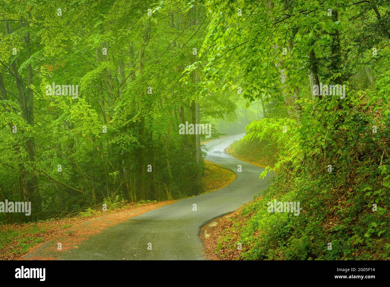 Curvas de sendero hi-res stock photography and images - Alamy