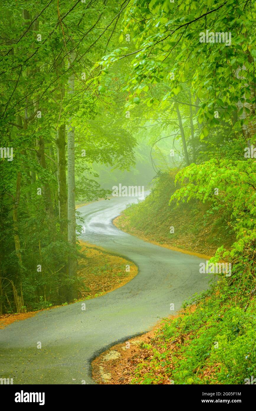 Curvas de sendero hi-res stock photography and images - Alamy
