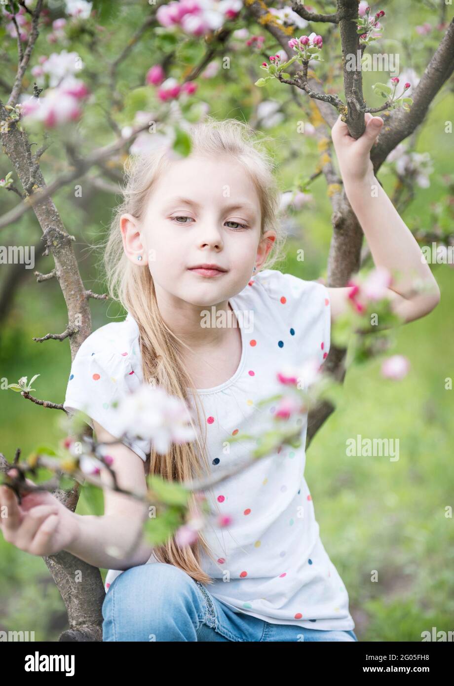 Little adorable girl sitting on blossoming tree in apple garden Stock ...