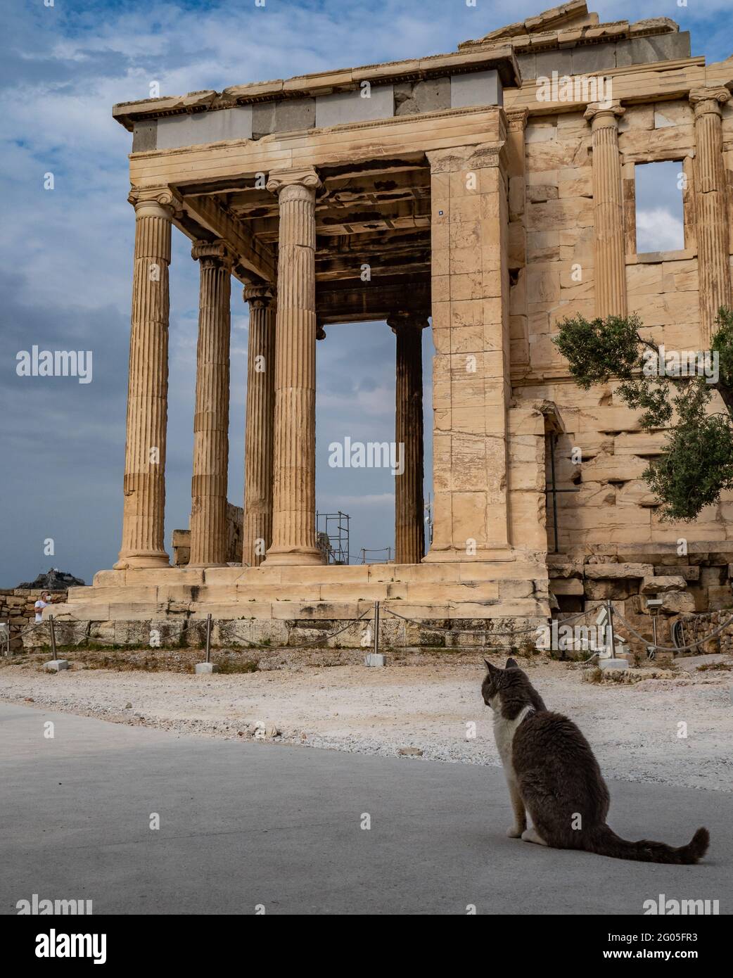 Cat at acropolis hi-res stock photography and images - Alamy