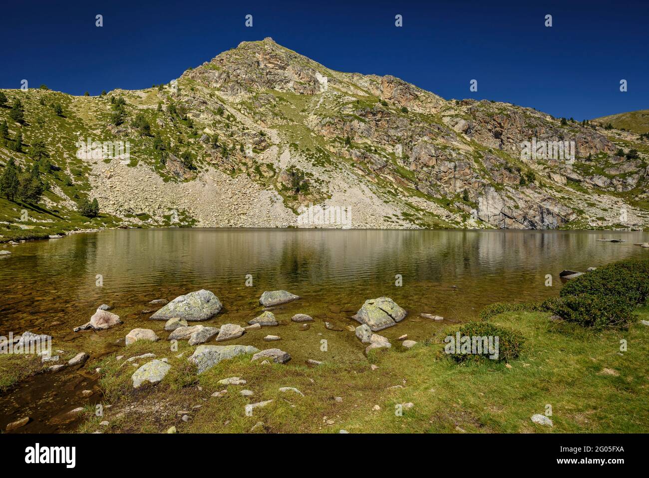 Pera de agua hi-res stock photography and images - Alamy