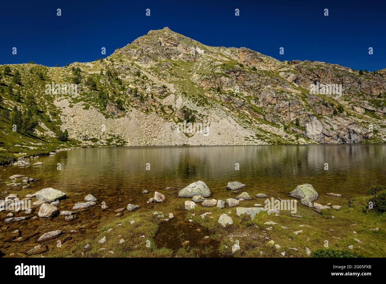 Pera de roca hi-res stock photography and images - Alamy