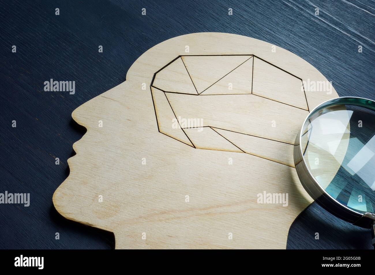 Mental health and memory problems. Head with a puzzle inside and a ...