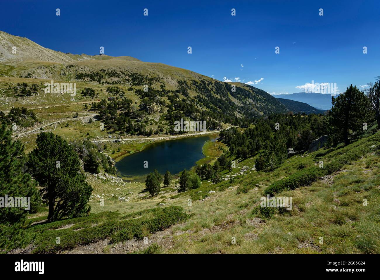 Pera de agua hi-res stock photography and images - Alamy
