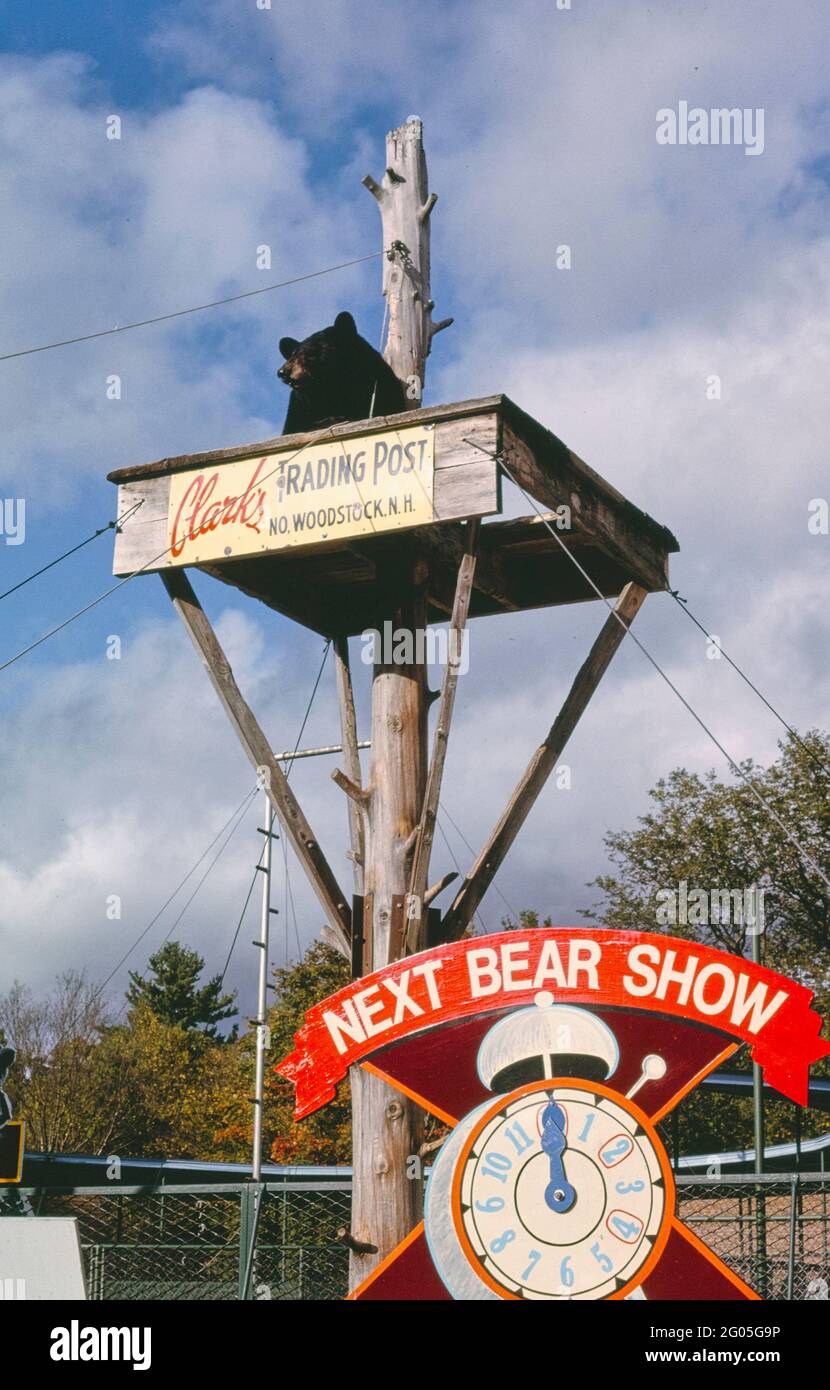 1990s United States - Next Bear Show sign, Clark's Trading Post, North ...