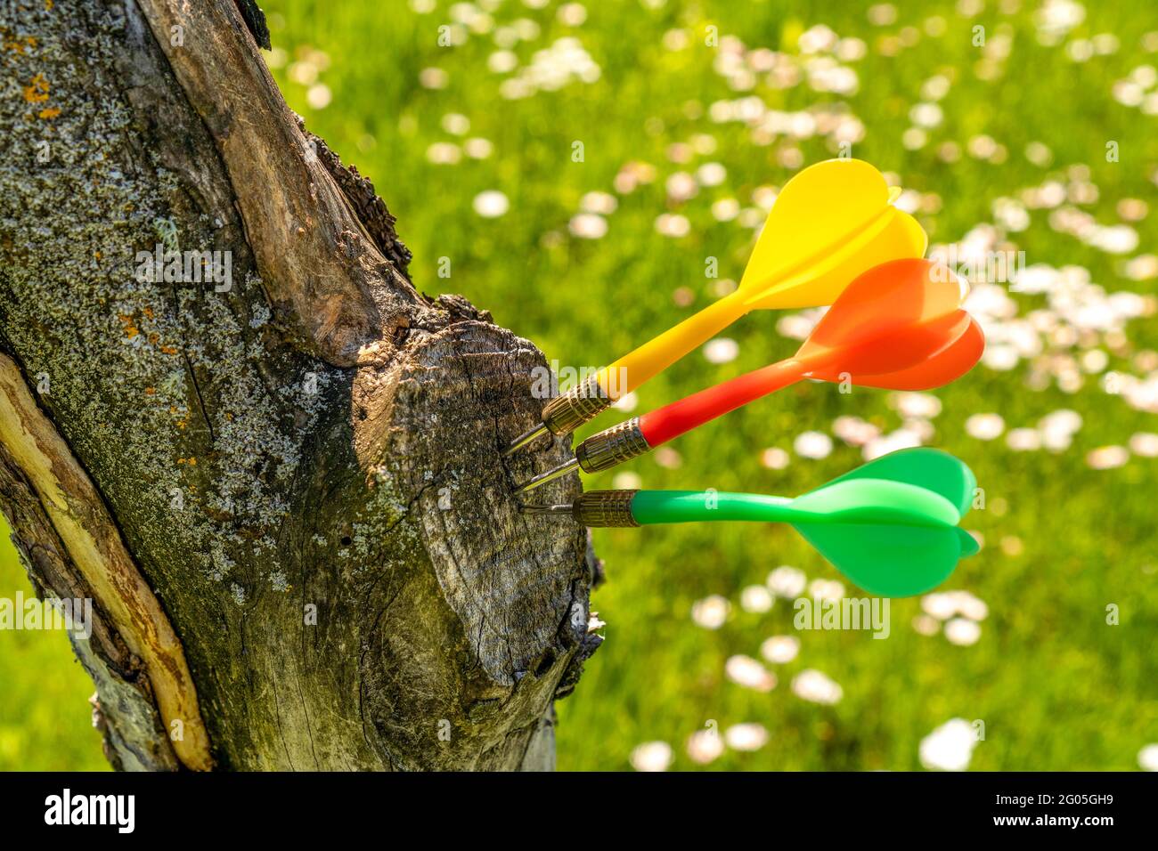 Arrow shot into tree hi-res stock photography and images - Alamy
