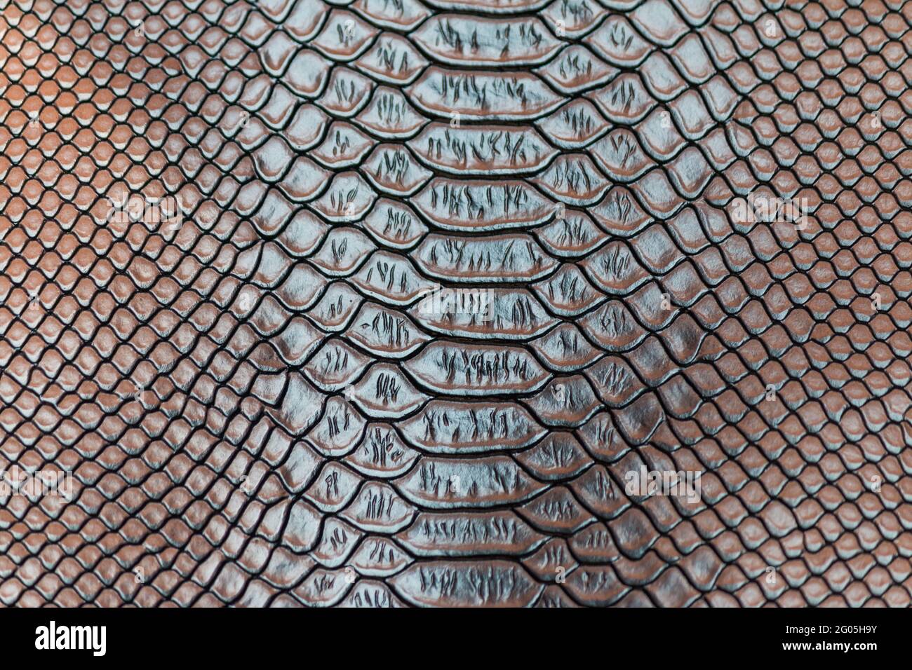 Snake human dark skin hi-res stock photography and images - Alamy