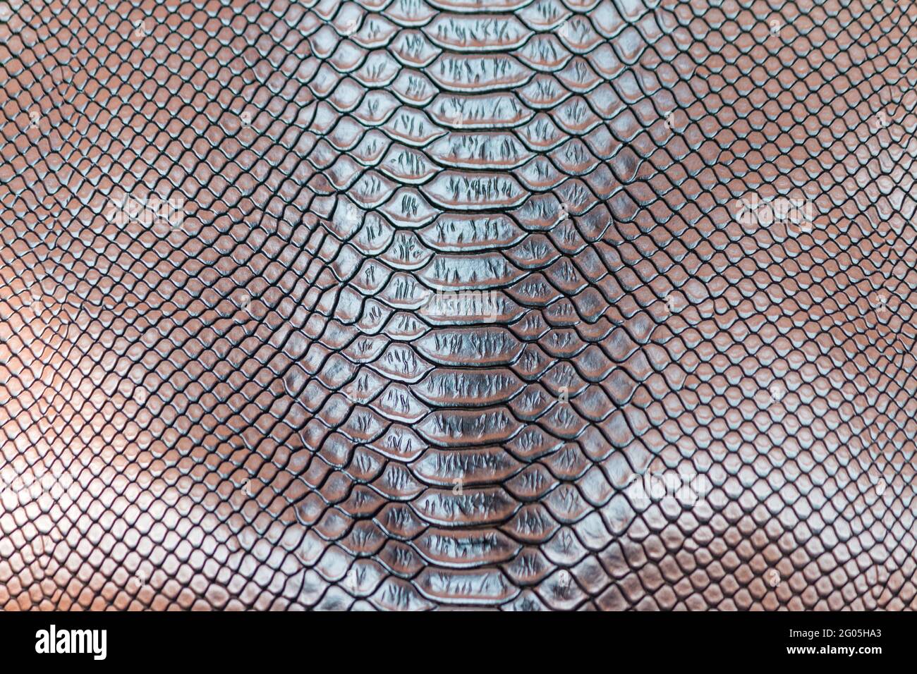 Snake human dark skin hi-res stock photography and images - Alamy