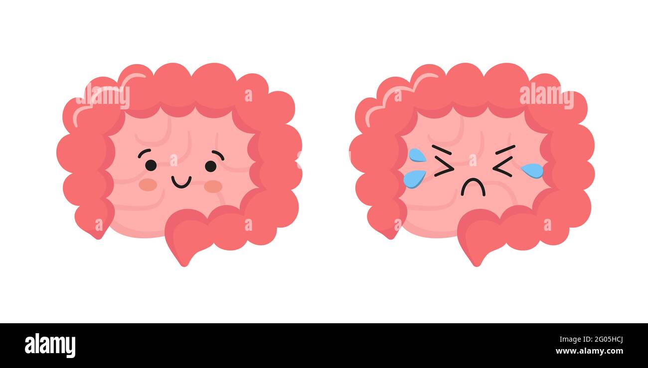 Happy kawaii character of small and large intestine. Human body ...