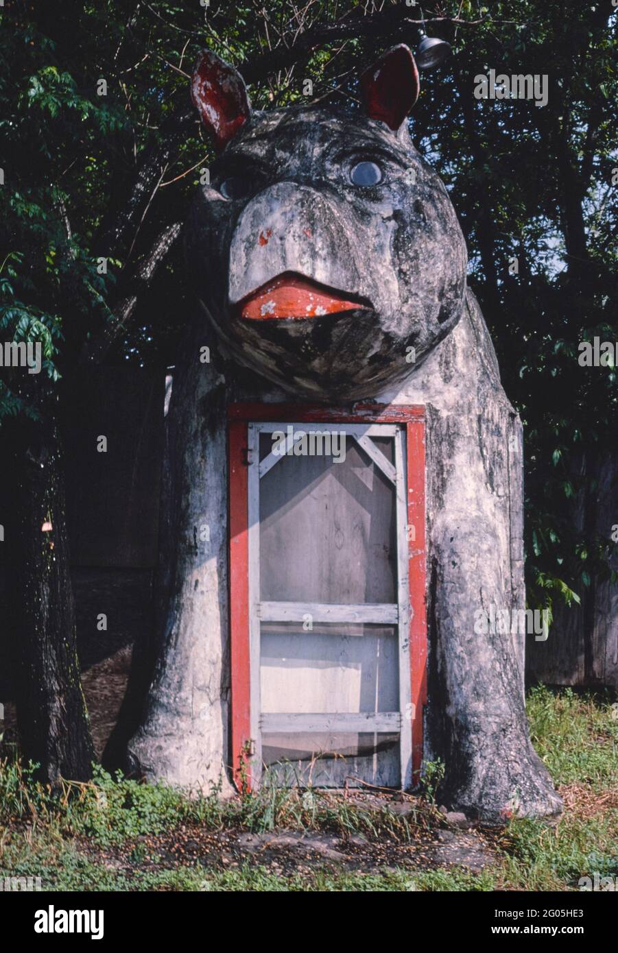 Pig stand antonio hi-res stock photography and images - Alamy