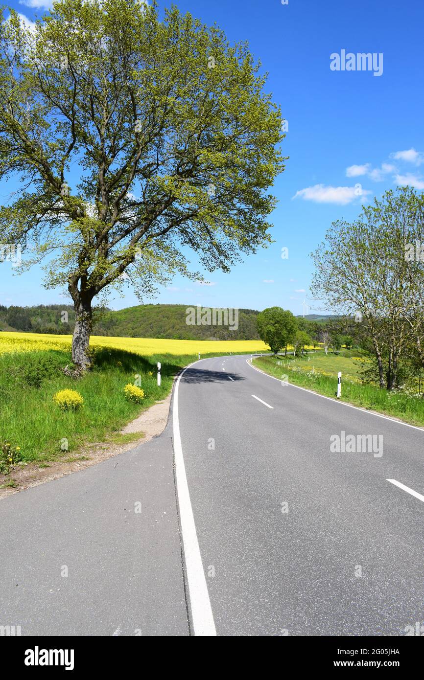 country road in the Eifel Stock Photo - Alamy
