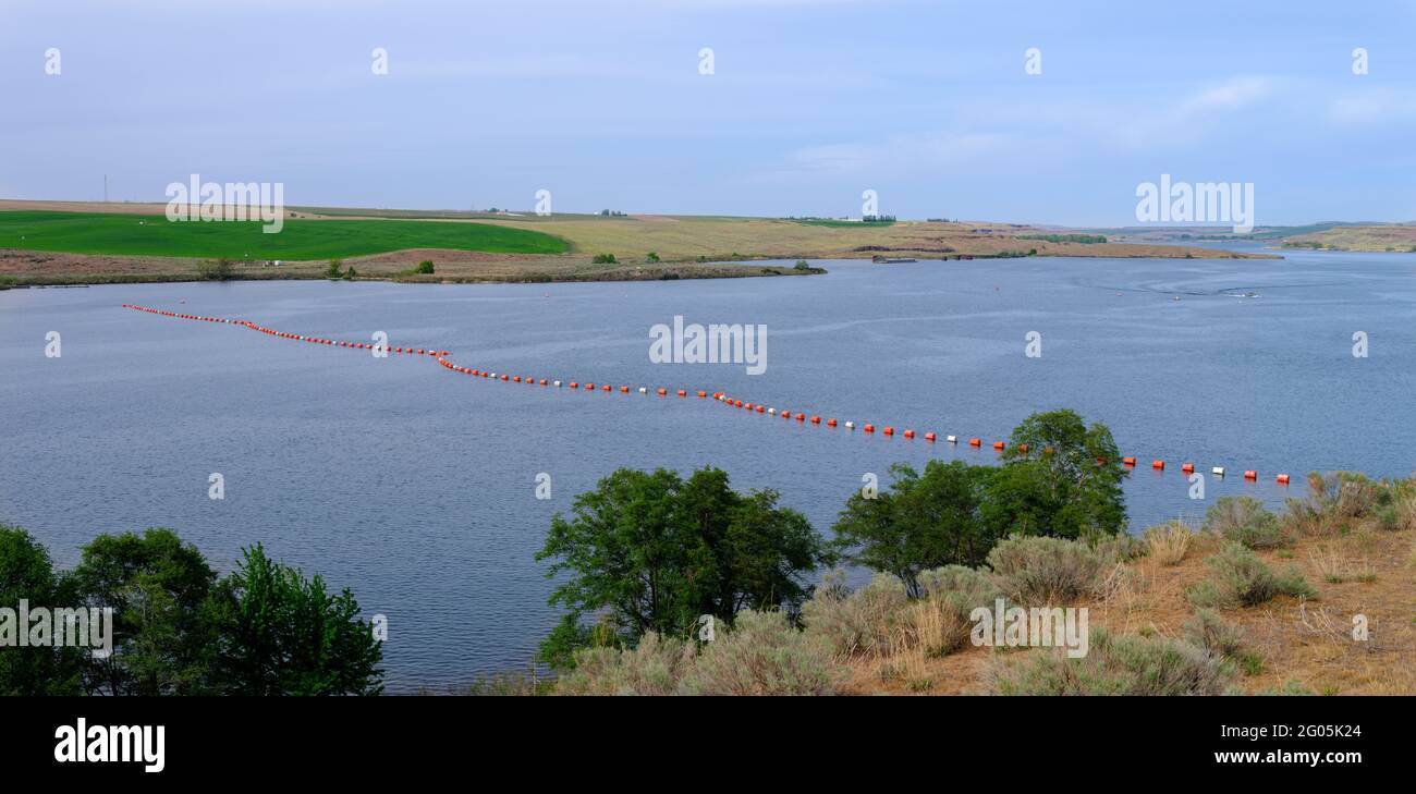 Panoramic view of boat barriers at the Ice Harbor Dam in Washington ...