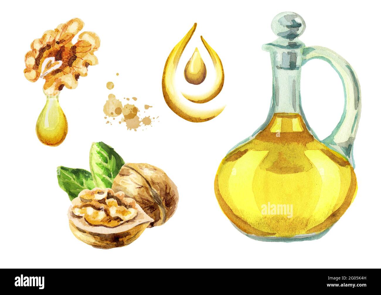 Walnut oil set. Watercolor illustration Stock Photo - Alamy