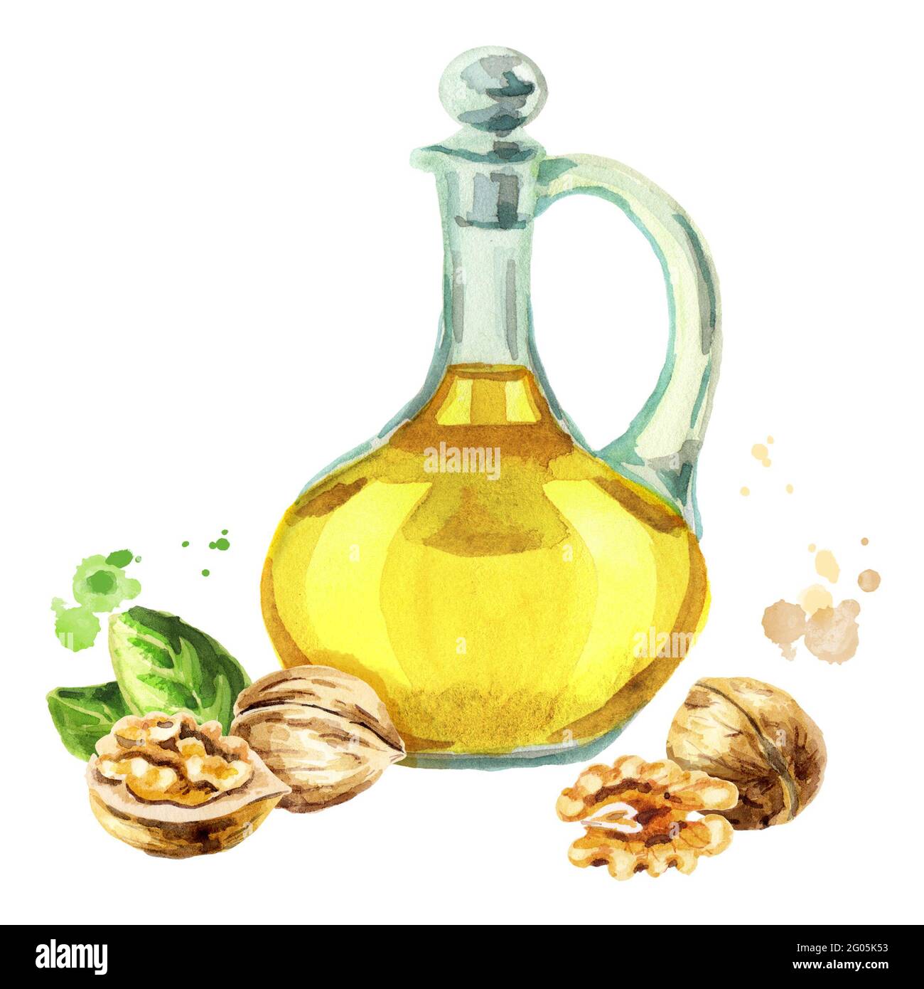 Walnut oil. Watercolor Stock Photo - Alamy