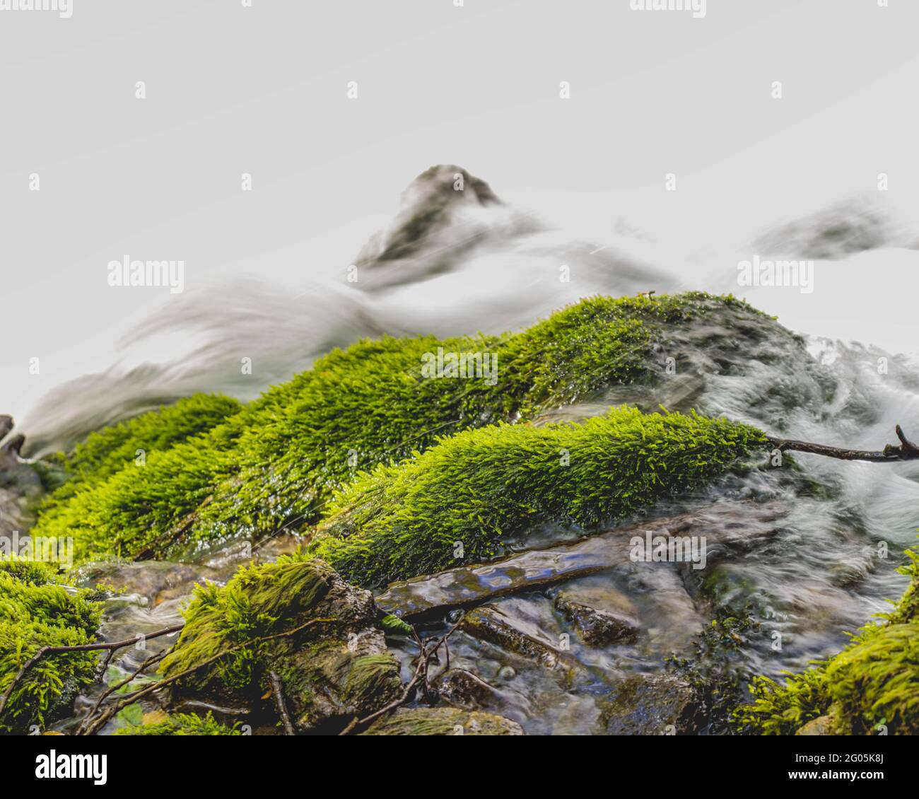 Wet moss on side of waterfall with water droplets pouring down Stock ...