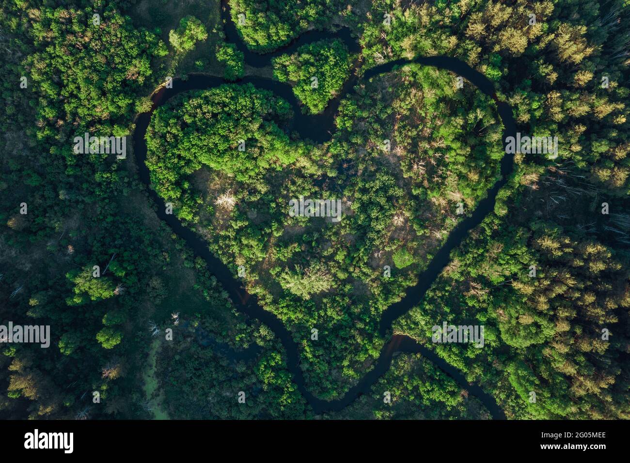 Heart shaped river in Altai territory. Summer june forest. Wonder of ...