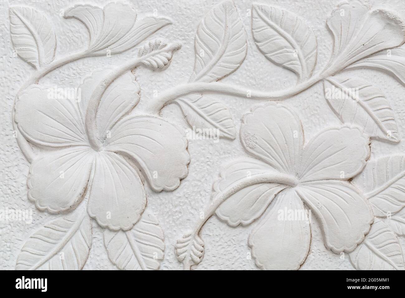 texture white Orchid stripes on the cement floor Stock Photo - Alamy