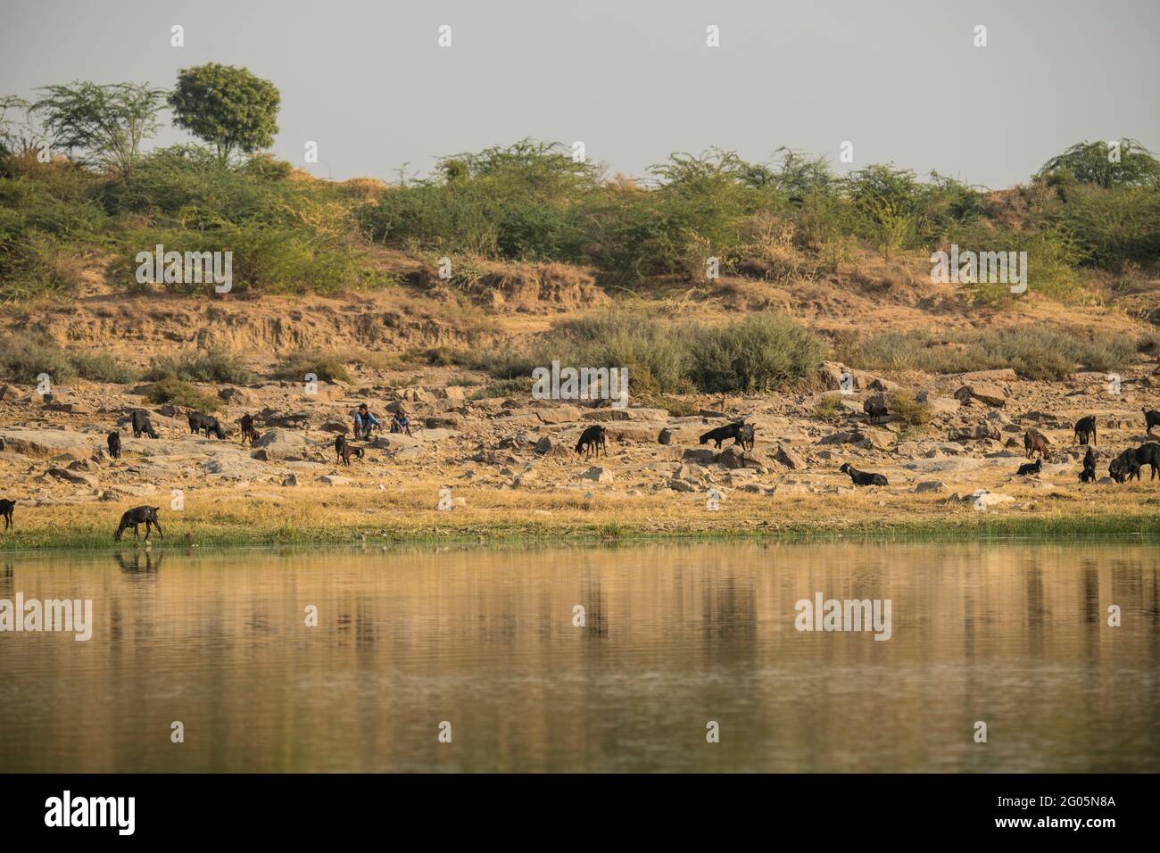 On the banks of the Chambal River in Rajasthan Stock Photo - Alamy