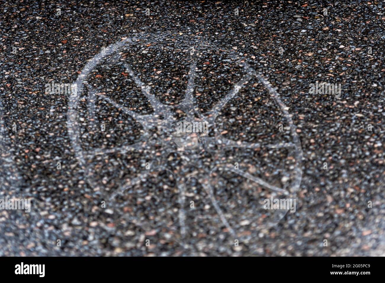 Vehicle pavement hi-res stock photography and images - Alamy