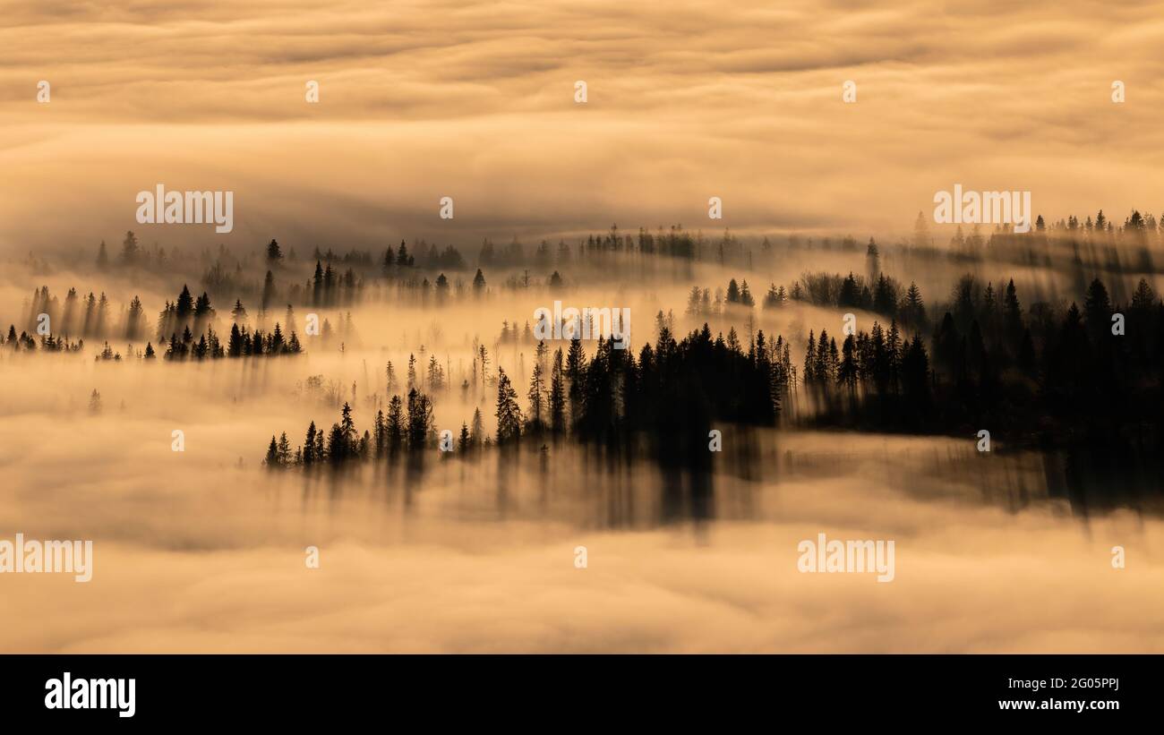 Silent morning scenery in autumn nature with sun rising about clouds ...