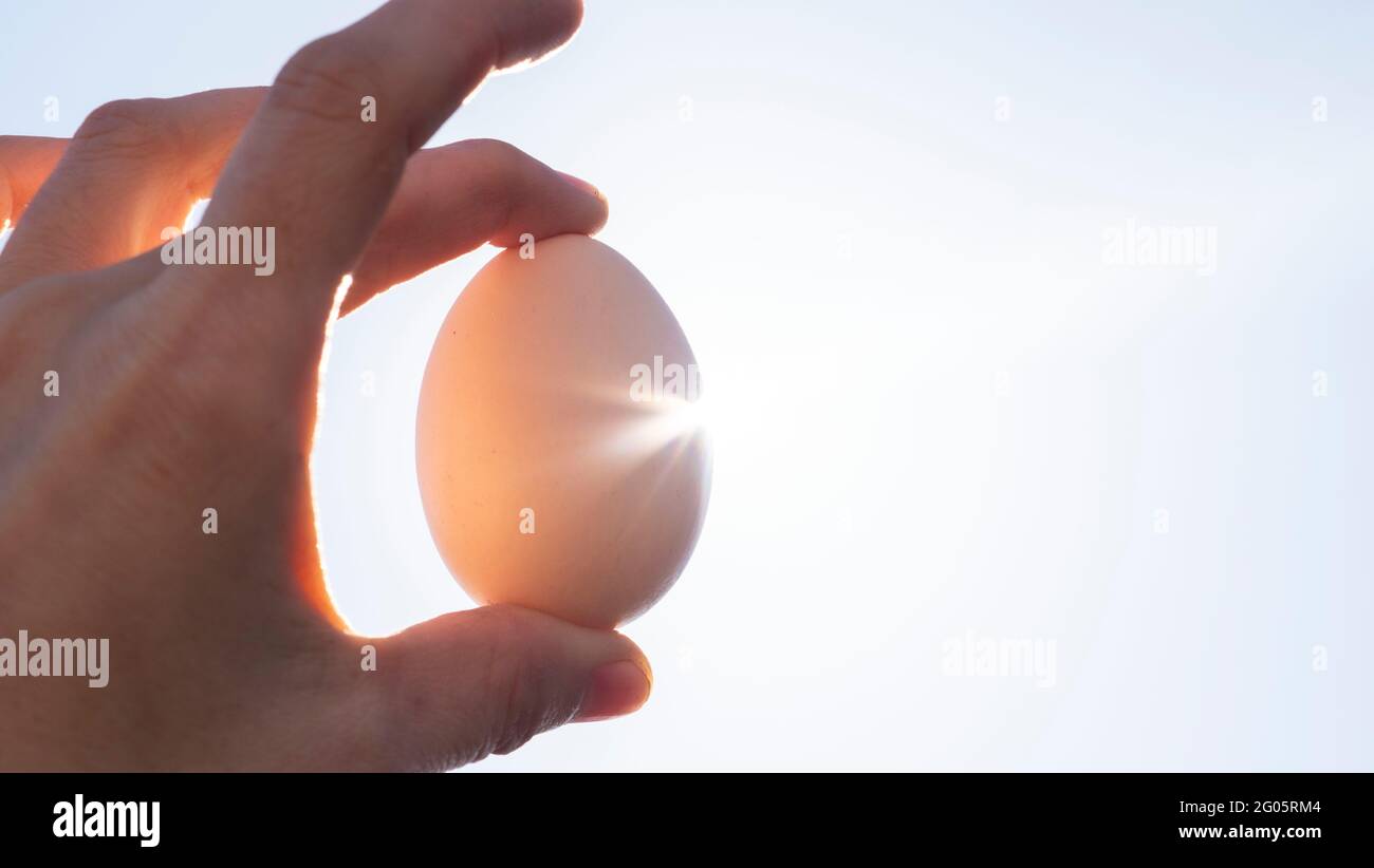 Egg in hand hi-res stock photography and images - Alamy