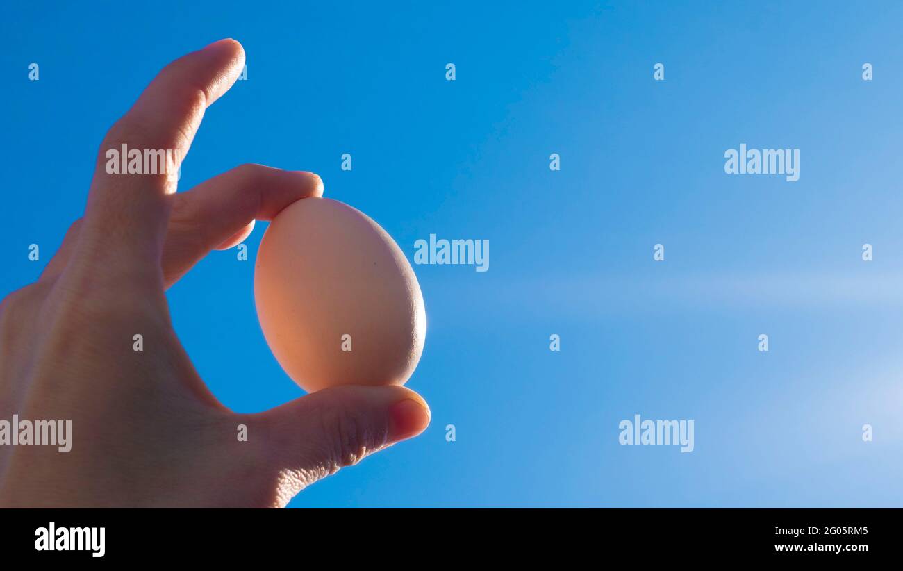 Egg in hand hi-res stock photography and images - Alamy