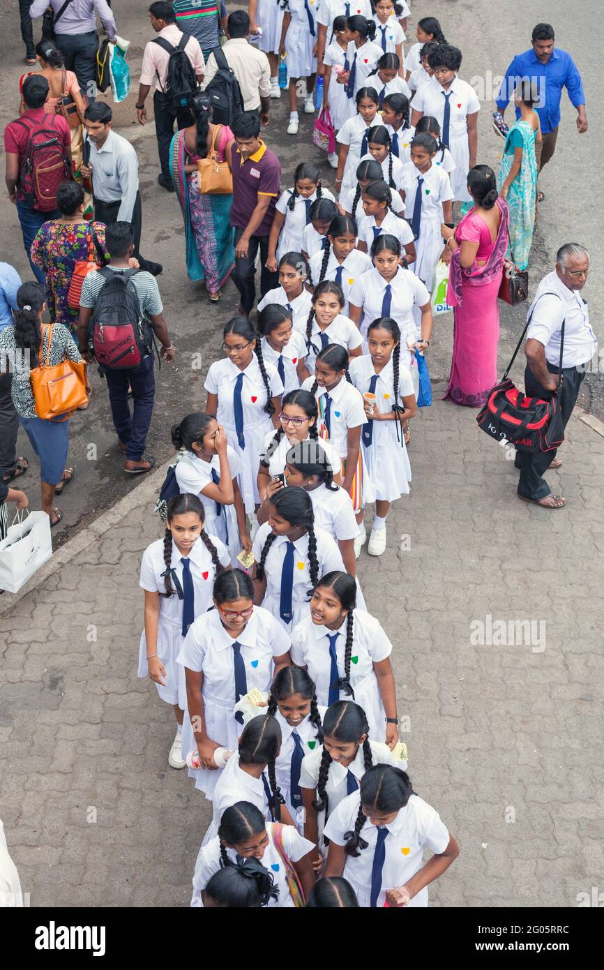 Large group of Sri lankan schoolgirls walk in twos snaking through ...