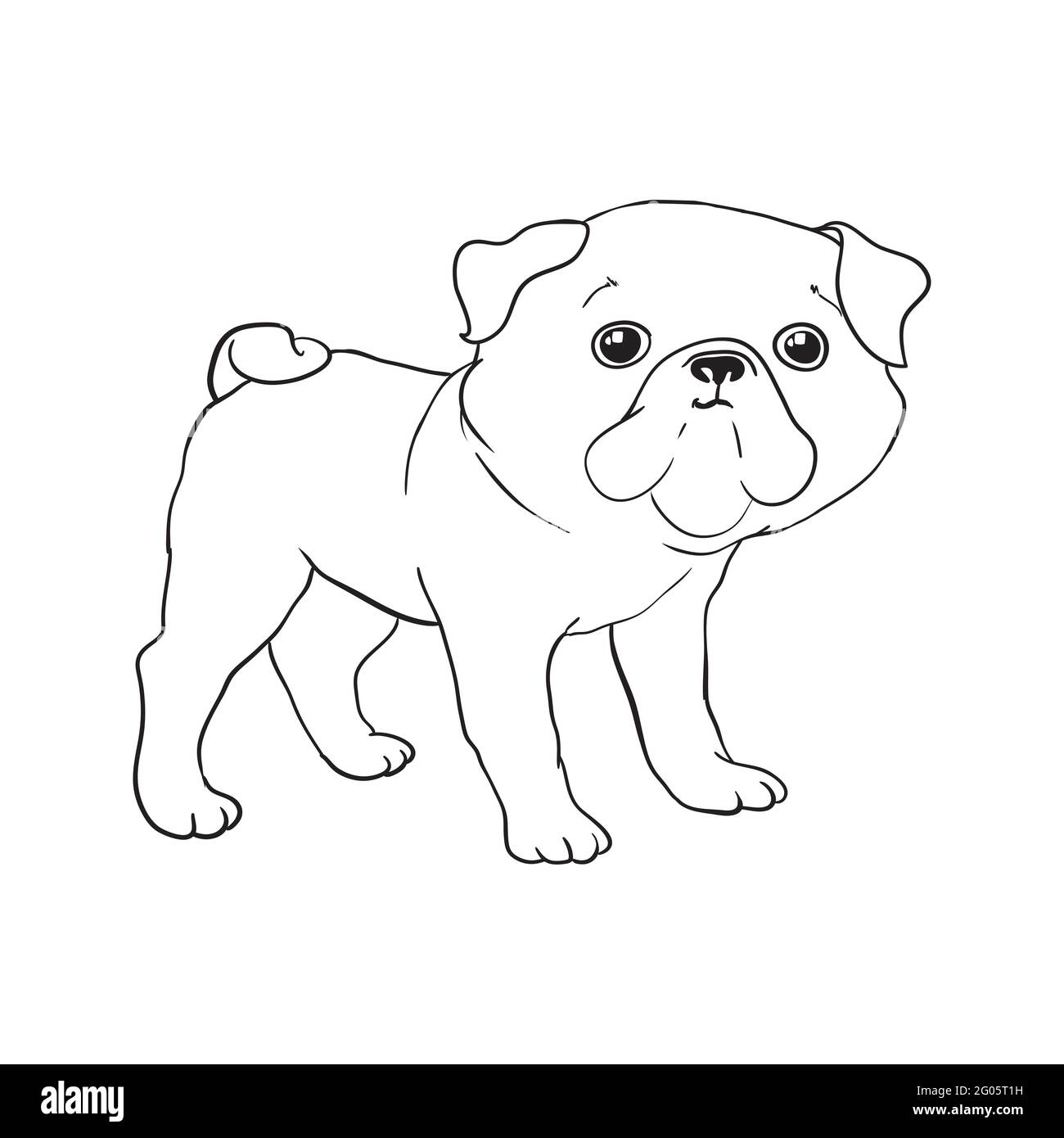 Pug vector hand drawing illustration in black color isolated on white ...