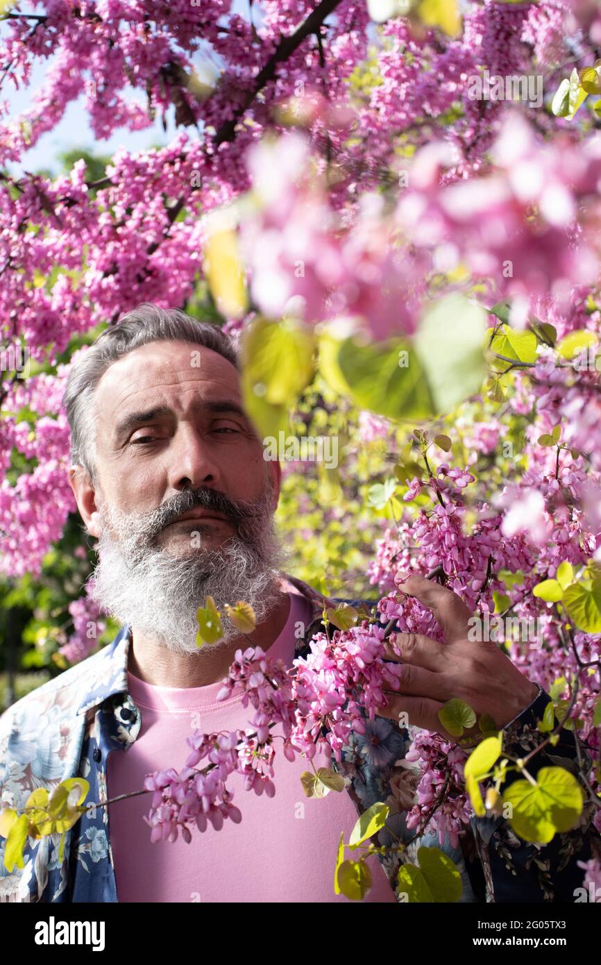 Cherry tree flowers man hi-res stock photography and images - Alamy