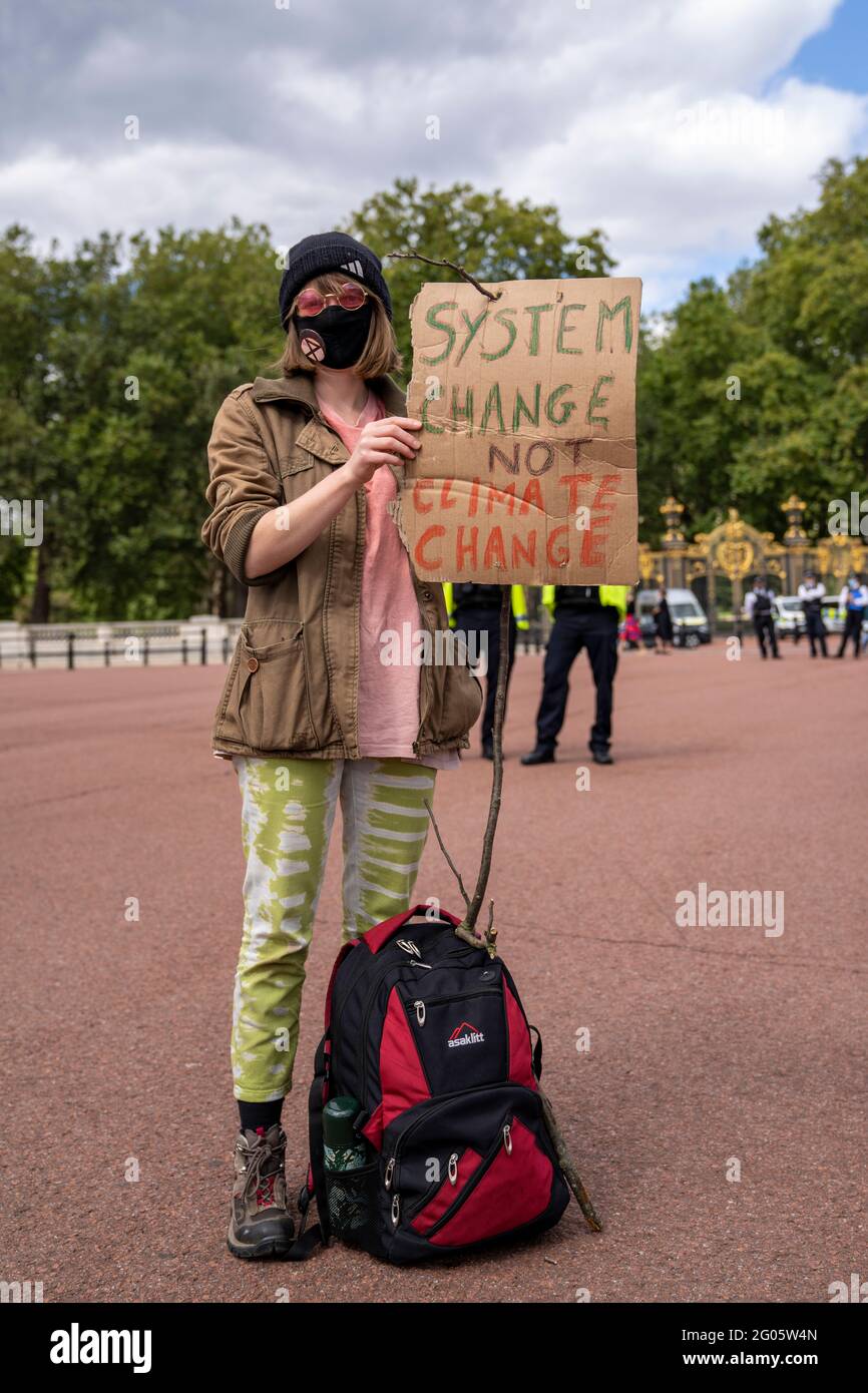 LONDON, UK – Portrait of an Extinction Rebellion activist holding a ...