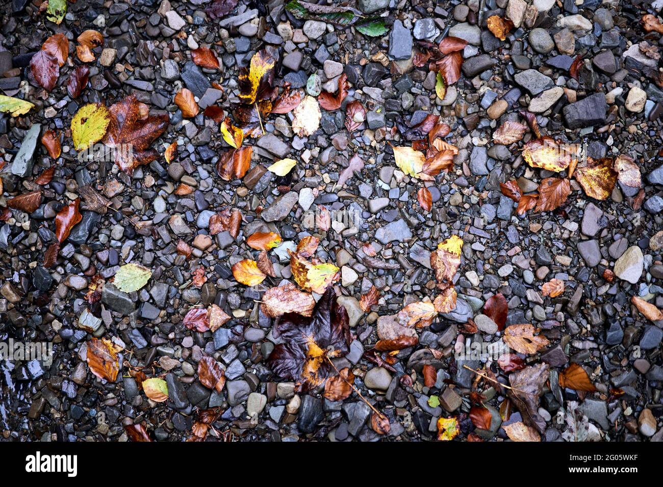 Wet pebble colours hi-res stock photography and images - Alamy