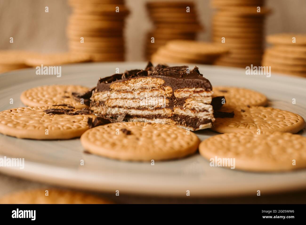 Piece of homemade chocolate and biscuit cake. Delicious cake on biscuit ...