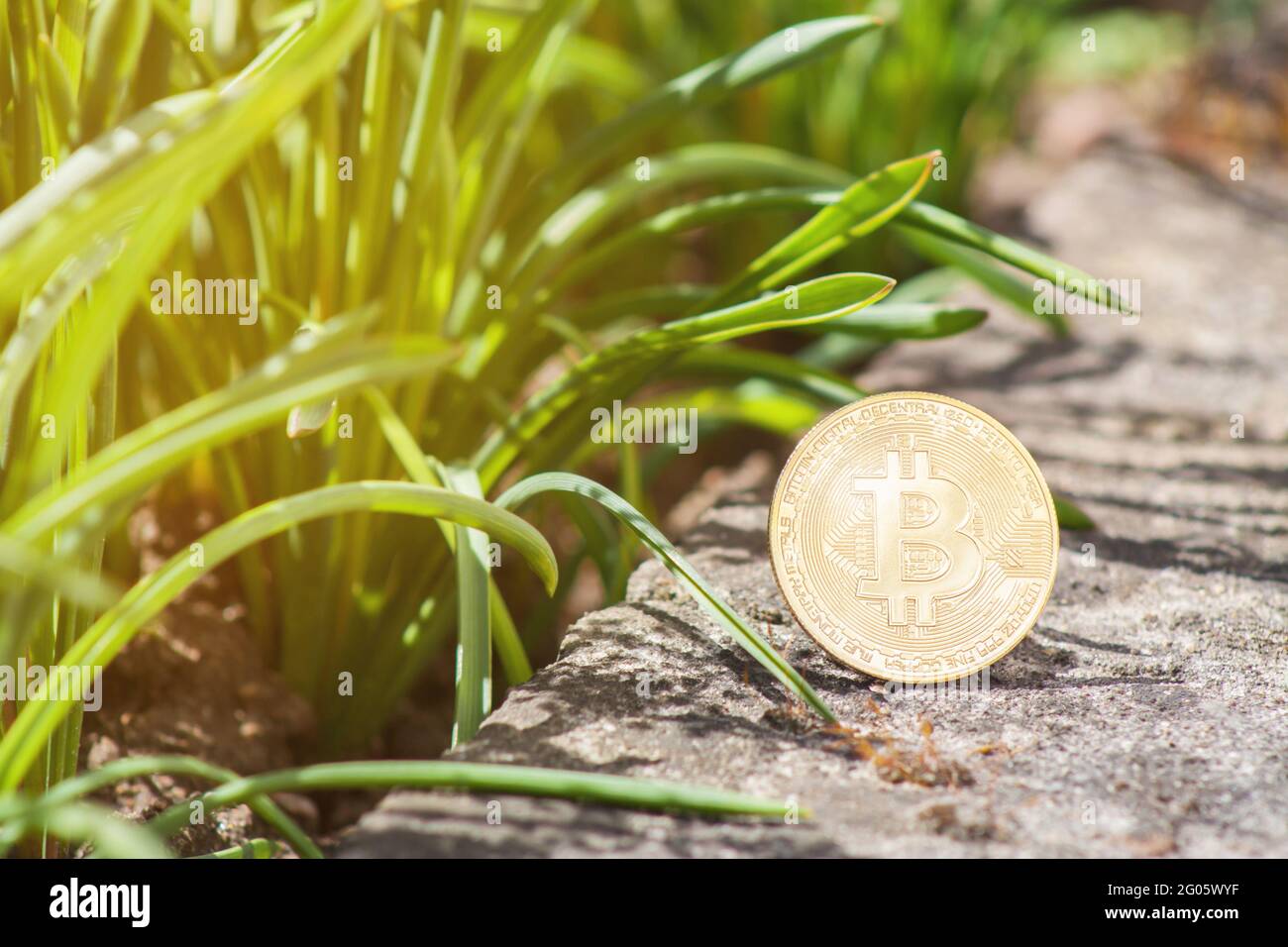 Physical environment hi-res stock photography and images - Alamy