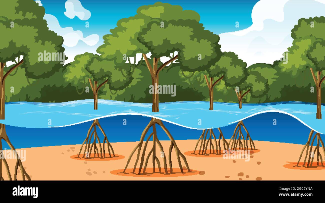 Nature scene with Mangrove forest at daytime in cartoon style ...