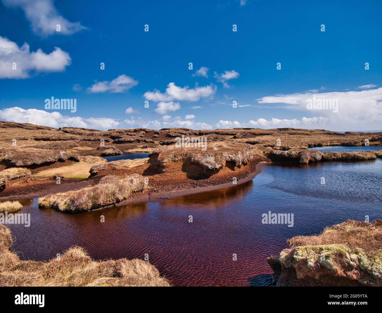 Peat marsh hi-res stock photography and images - Alamy
