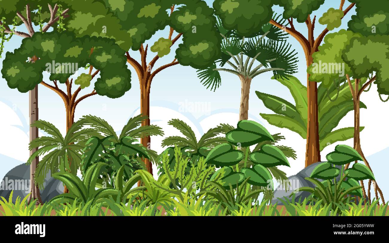 Forest landscape scene at day time with many trees illustration Stock ...