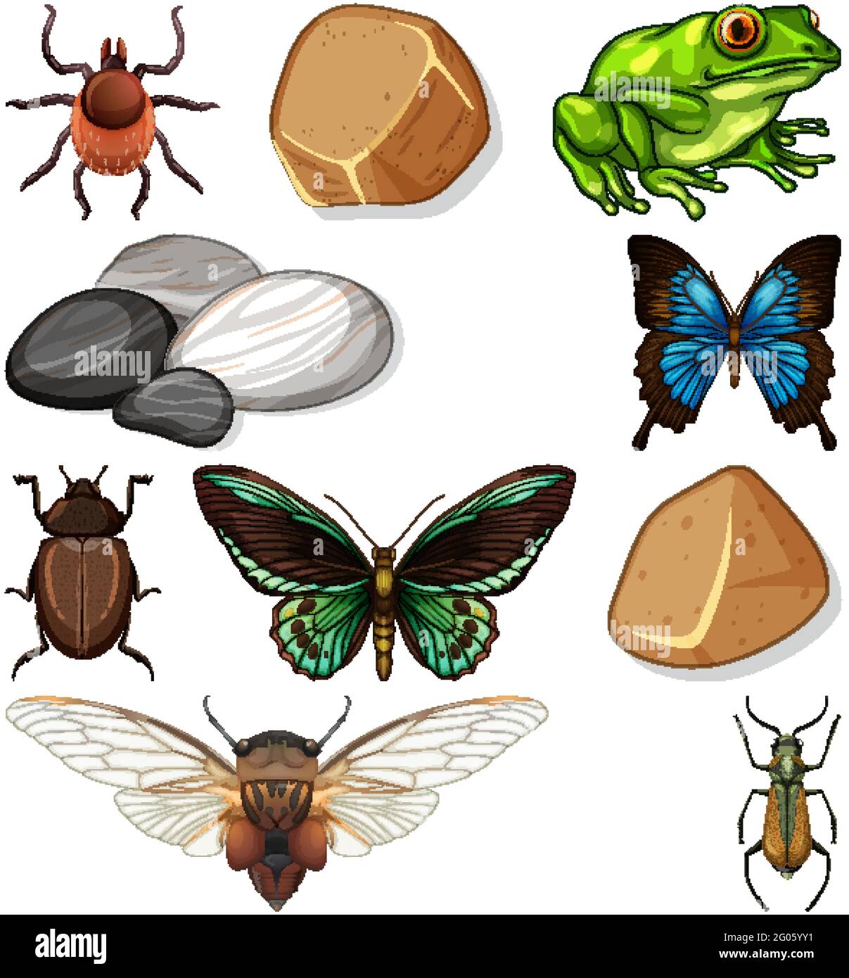 Different types of insect with nature elements illustration Stock ...