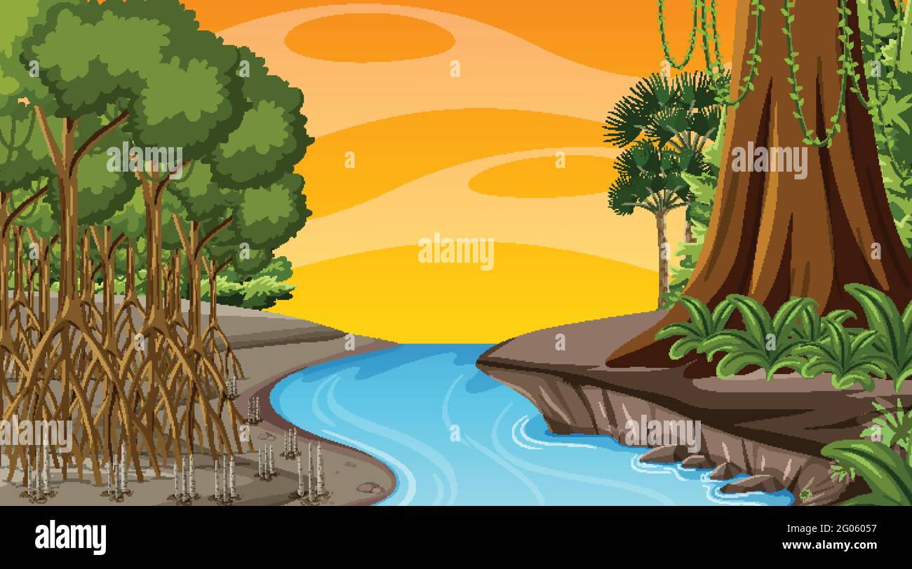 Nature scene with Mangrove forest at sunset time in cartoon style ...