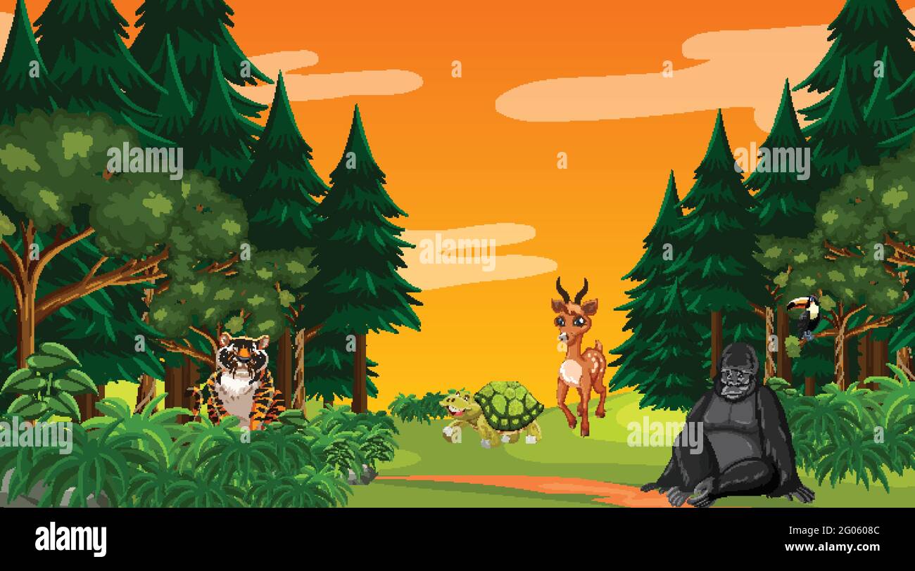 Forest at sunset time scene with different wild animals illustration ...