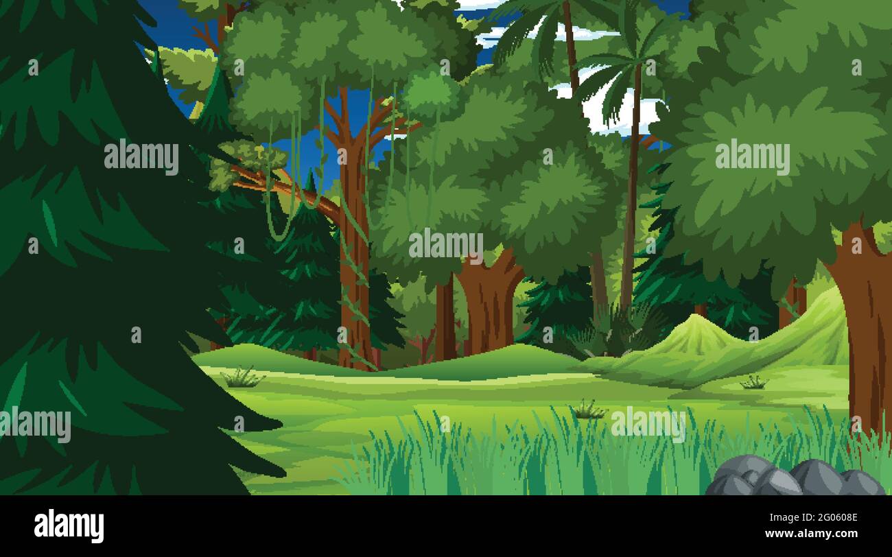Rainforest or tropical forest at daytime scene illustration Stock ...