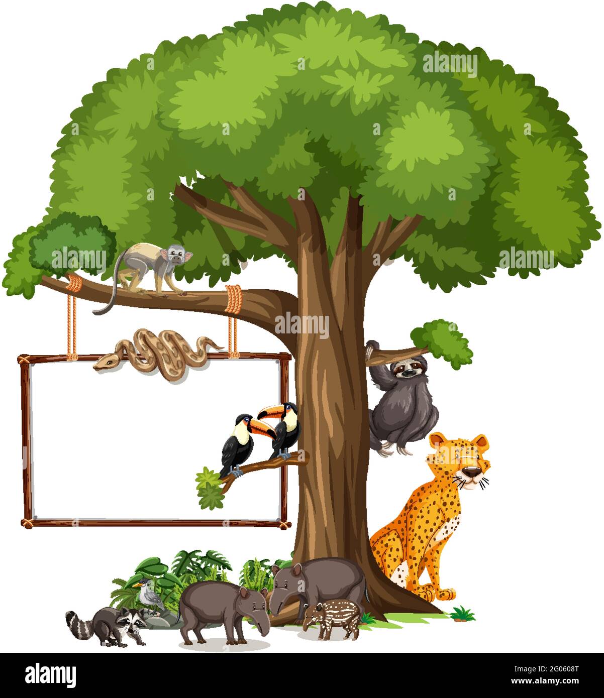 Rainforest Tree Clip Art