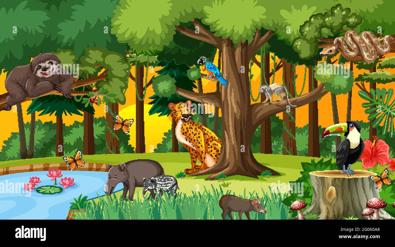 Forest at sunset time scene with different wild animals illustration ...