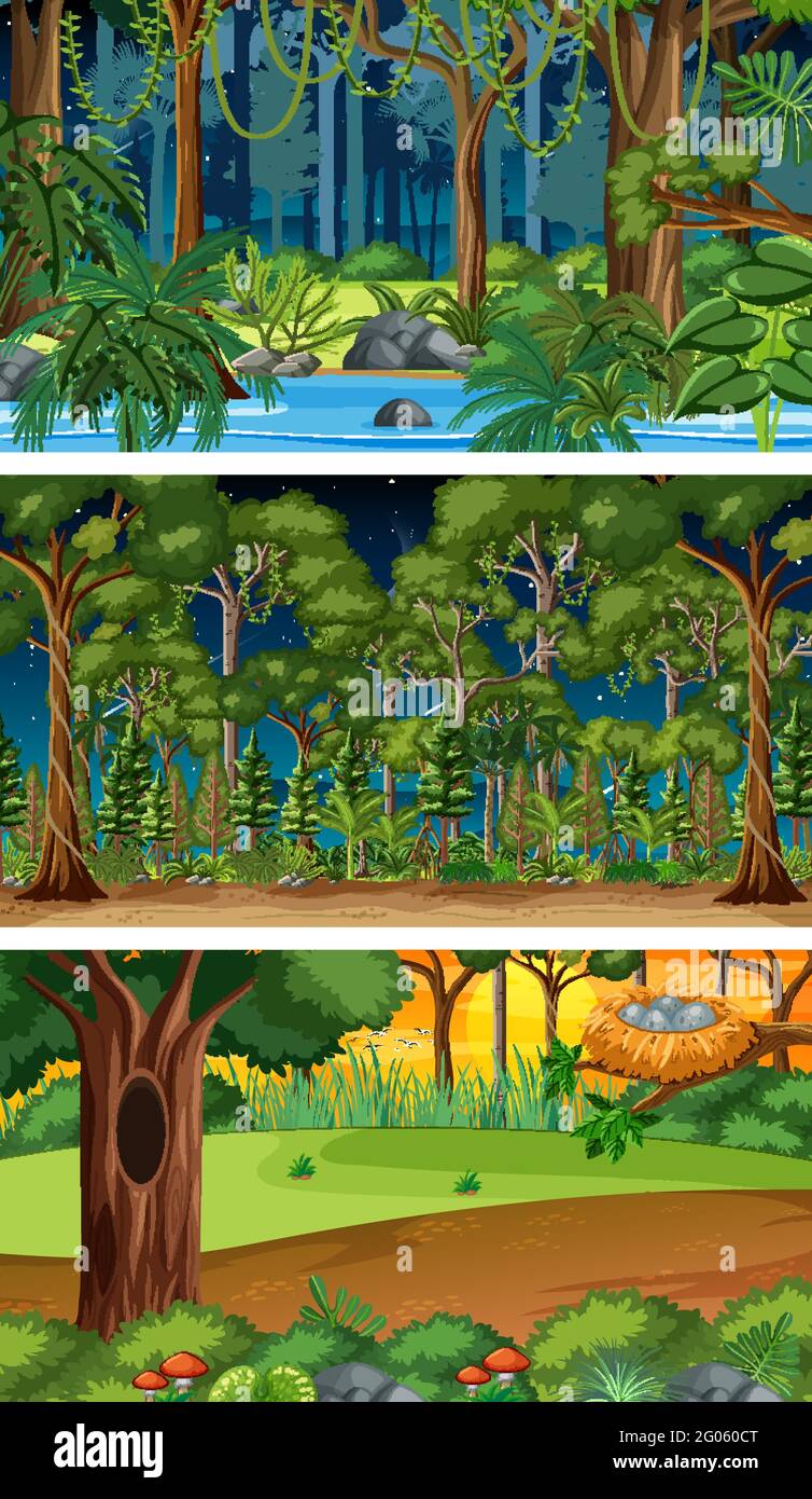 Three different nature horizontal scenes illustration Stock Vector ...