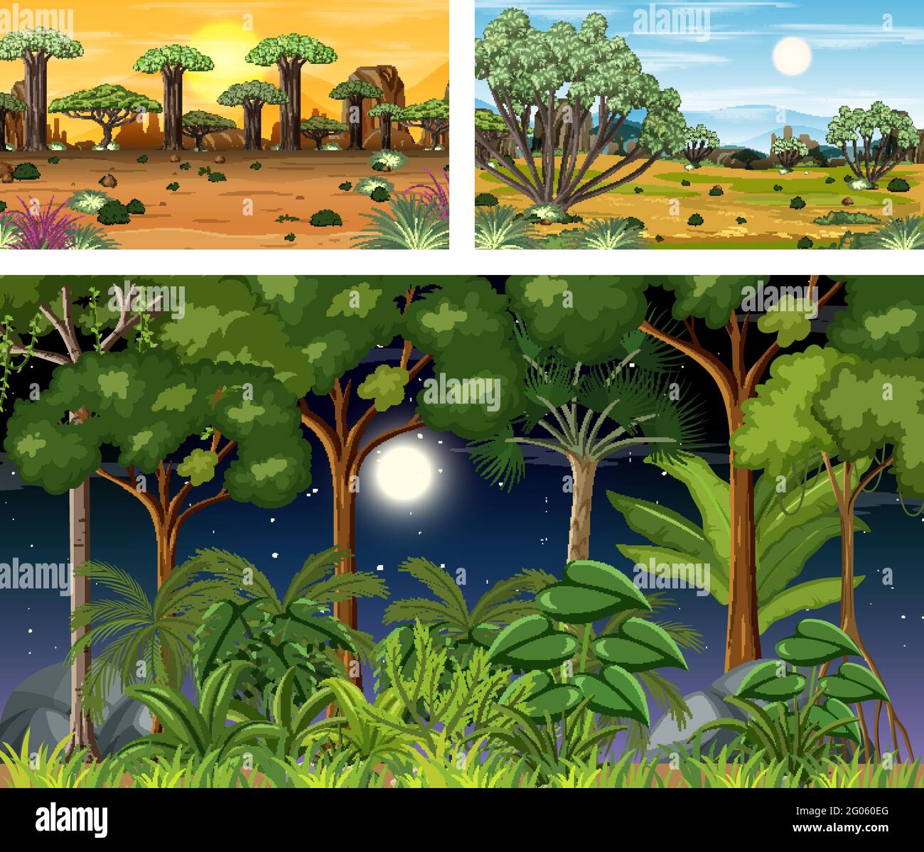 Set of different forest horizontal scenes illustration Stock Vector ...