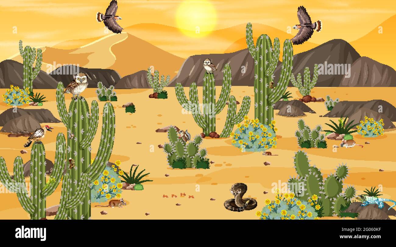 Desert Plants And Animals Clip Art